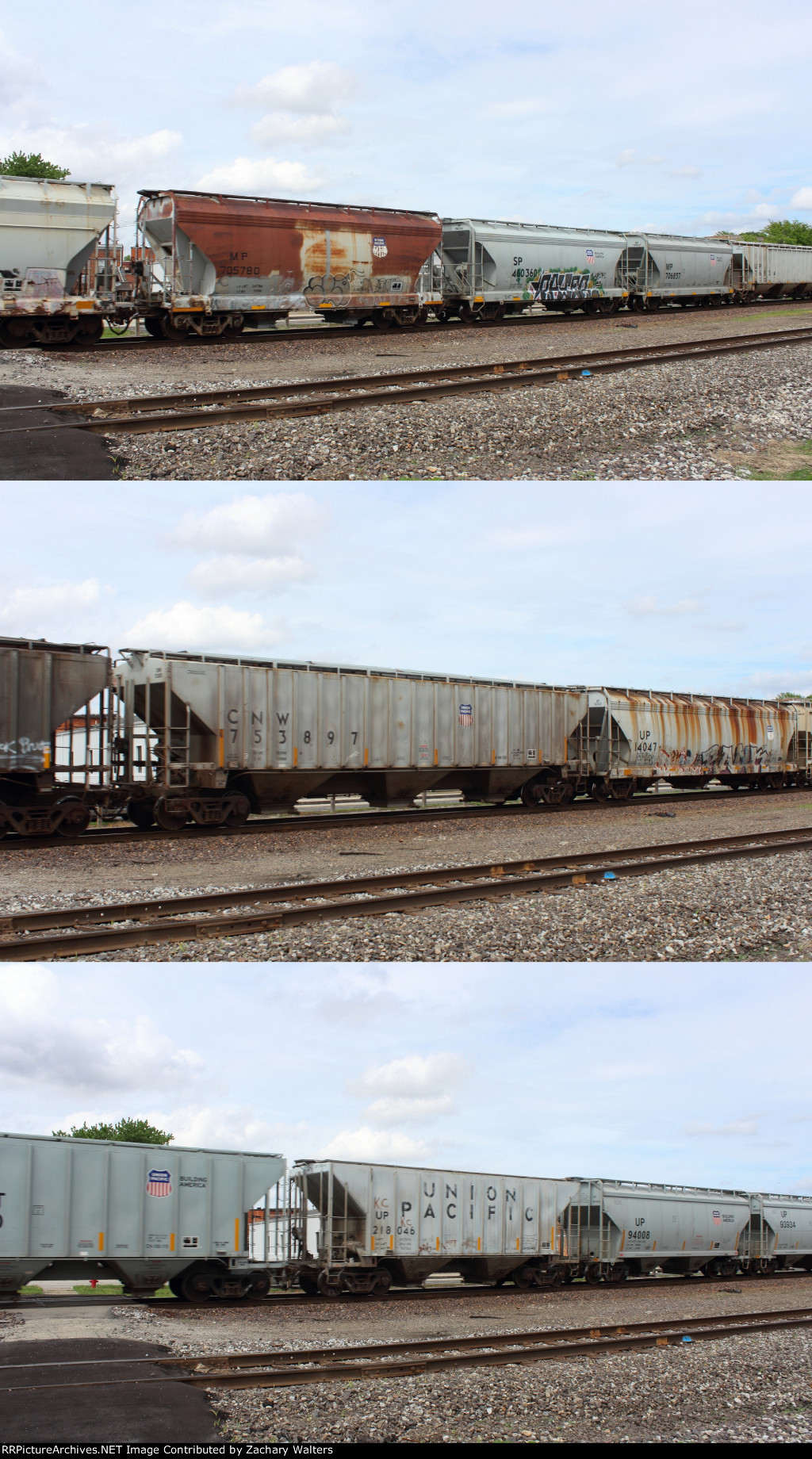 UP Family of Hoppers